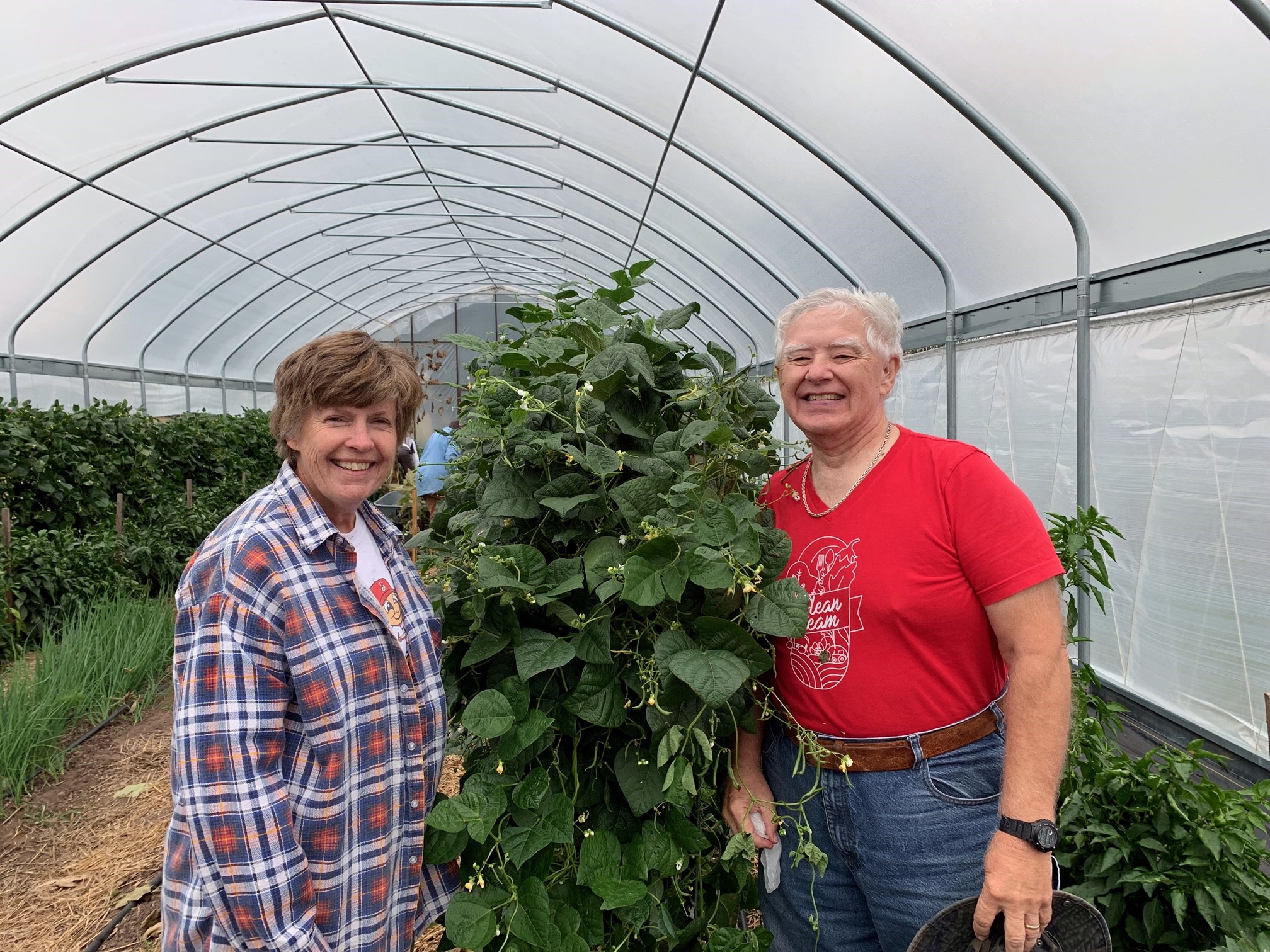 Marilyn Jerry Corson - Ozarks Food Harvest